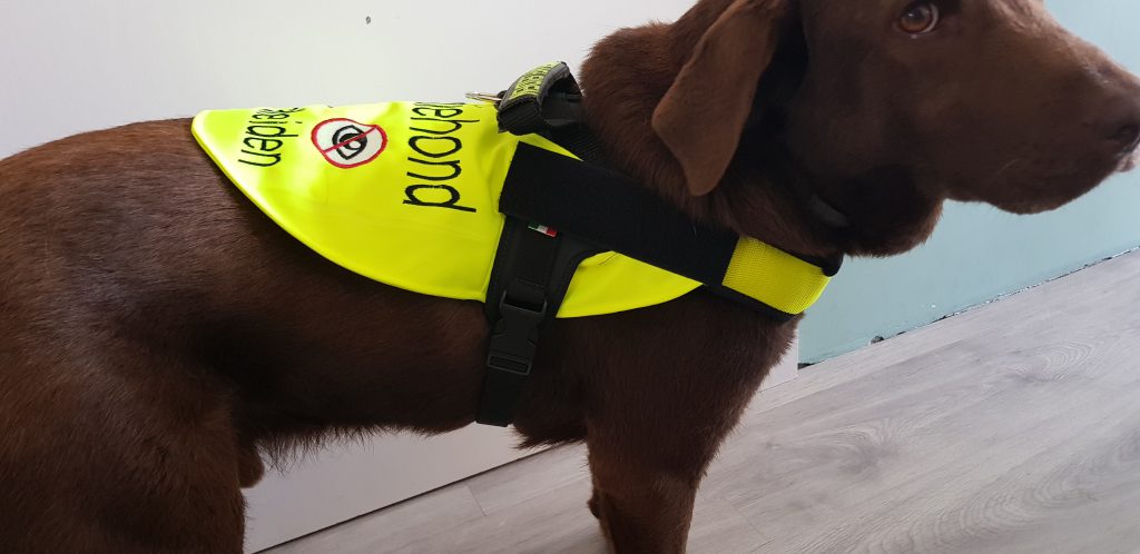 Jotico.nl – assistentiehond accessoires voor assistentiehond gebruikers